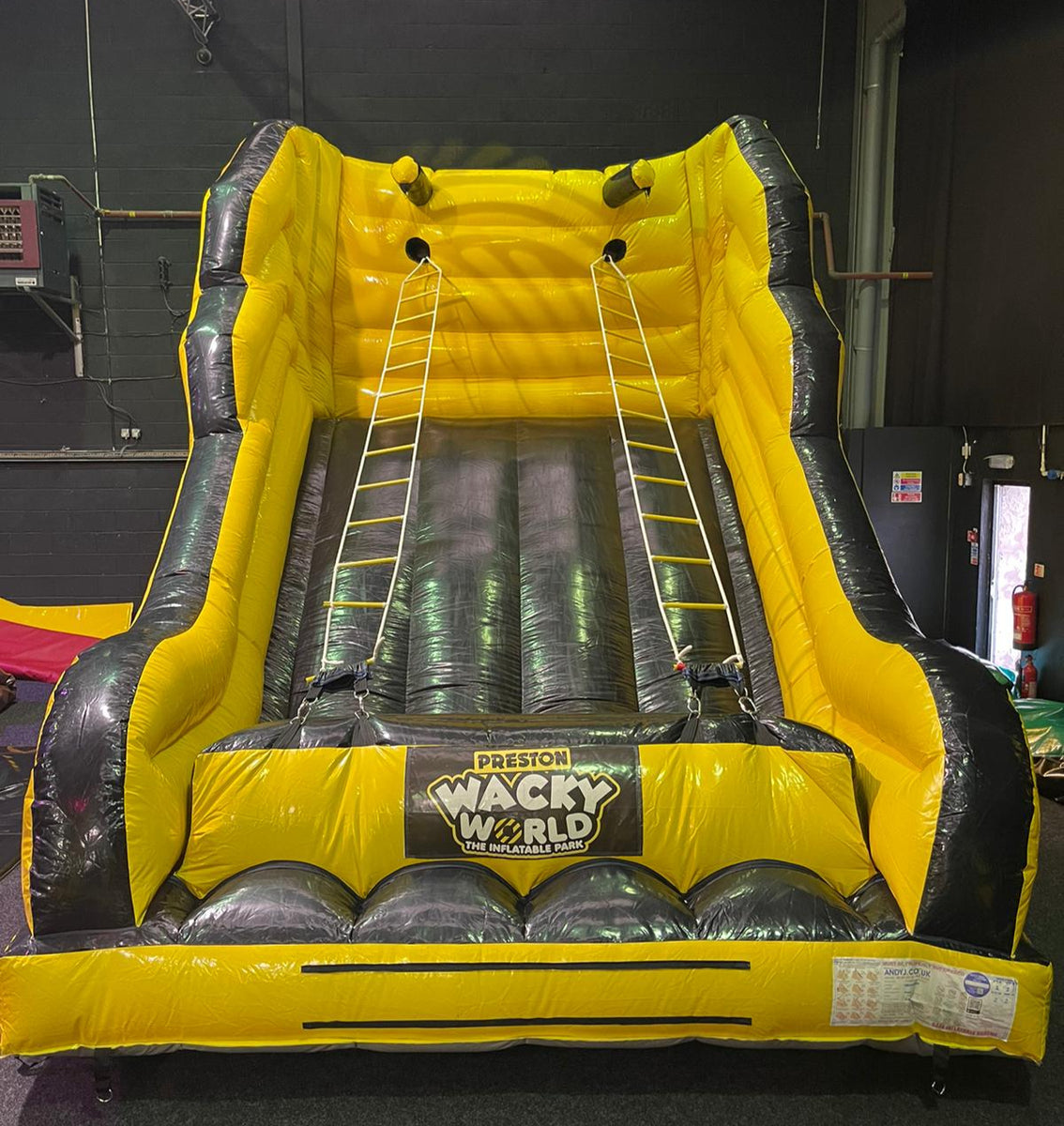 Unclimbable Ladder – Wacky World Hire